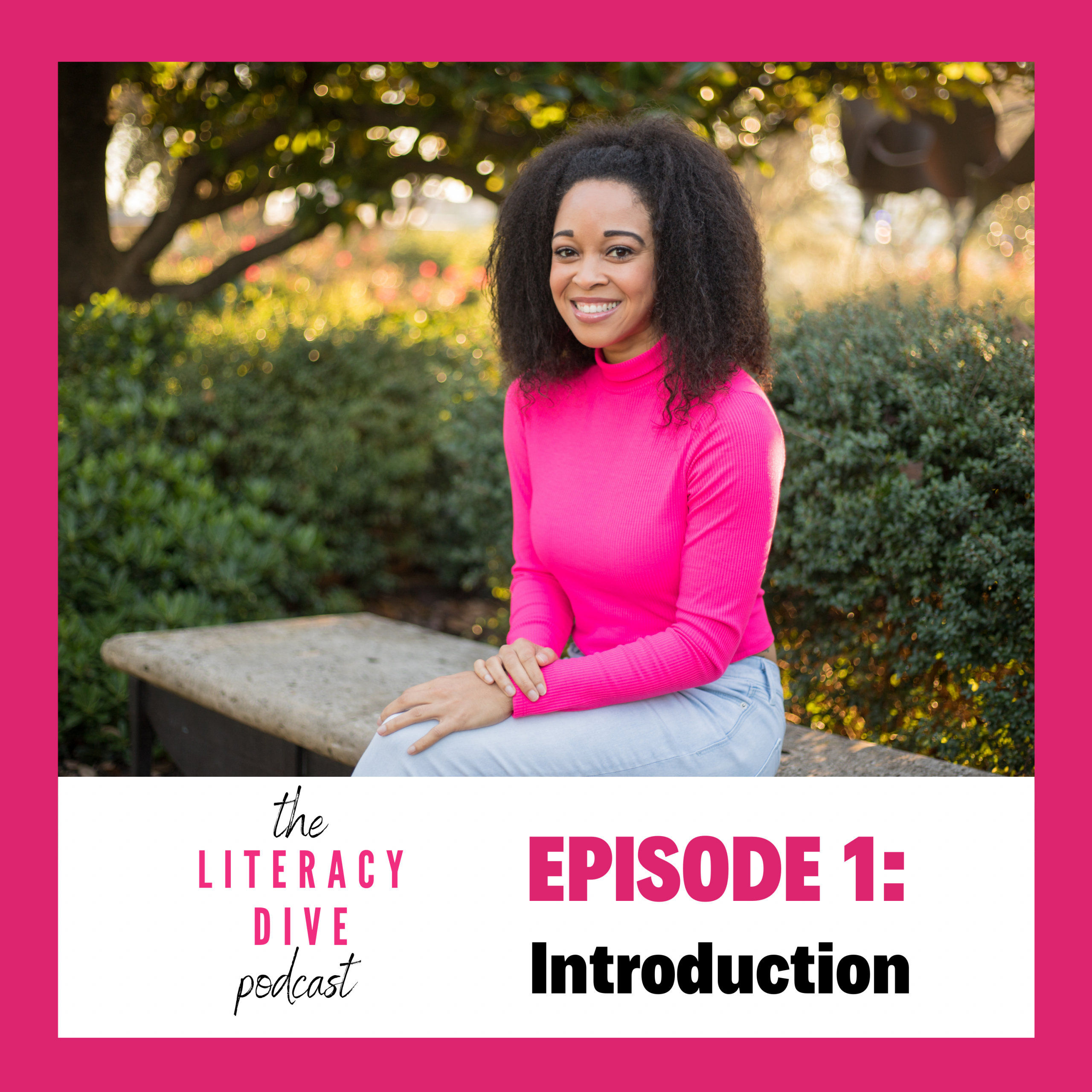 Introduction - The Literacy Dive